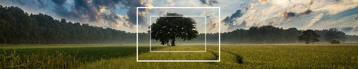 What's a full-frame camera and why should you choose one? | Coolblue ...