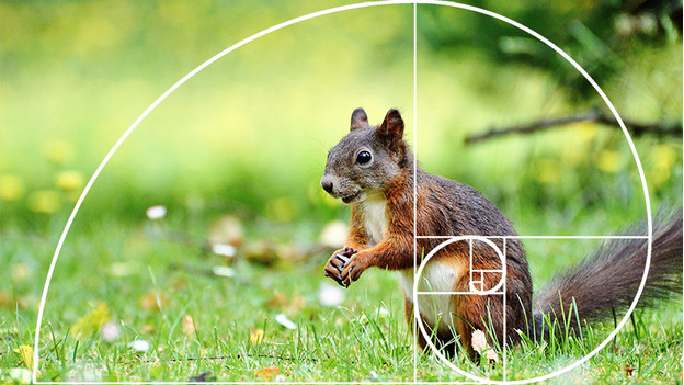 Tips for determining the right photo composition | Coolblue - Free ...