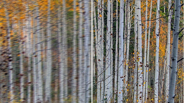 What's the difference between optical and digital image stabilization ...