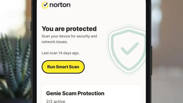 What does Norton 360 Deluxe antivirus do on your Android smartphone or ...