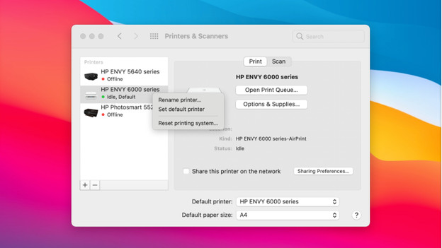 3 tips when the macOS system indicates your printer is offline ...