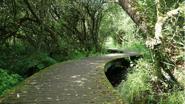 Tips for taking the best photo in nature | Coolblue - Free delivery ...