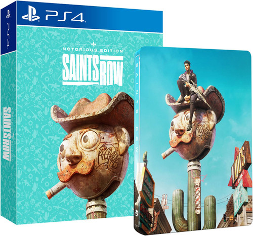 Deep Silver Saints Row Notorious Edition PS4 | Coolblue - Vor 13:00 ...